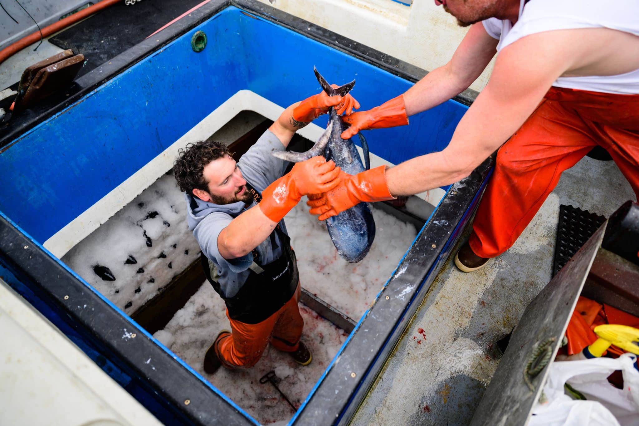 Working Waterfronts: Seafood Connection, Westport - Maritime Washington
