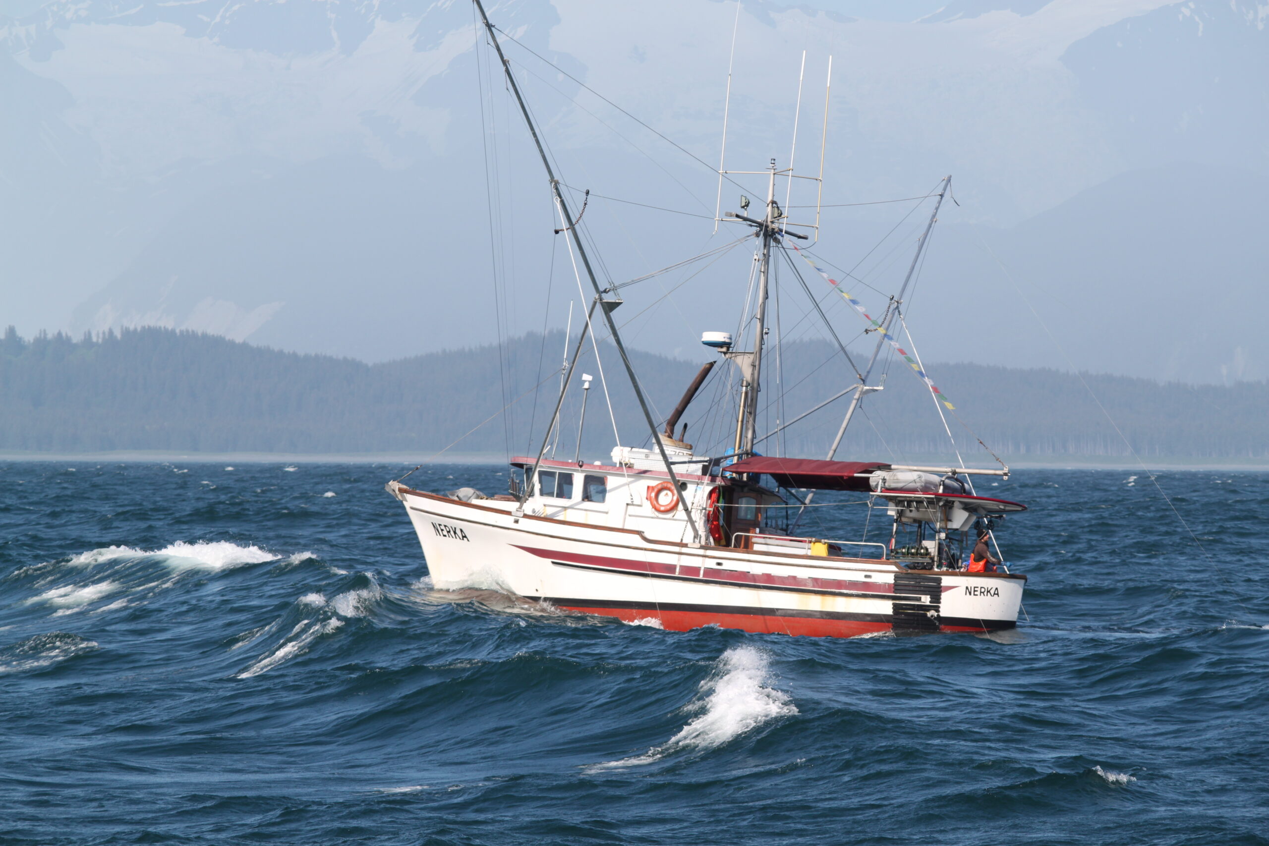 Women on the Waterfront: Tele Aadsen - Maritime Washington